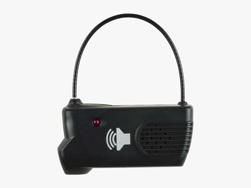 Magnetic Mini Alarming 2-Tone Lanyard (AM & RF Technology) - LPRC ...